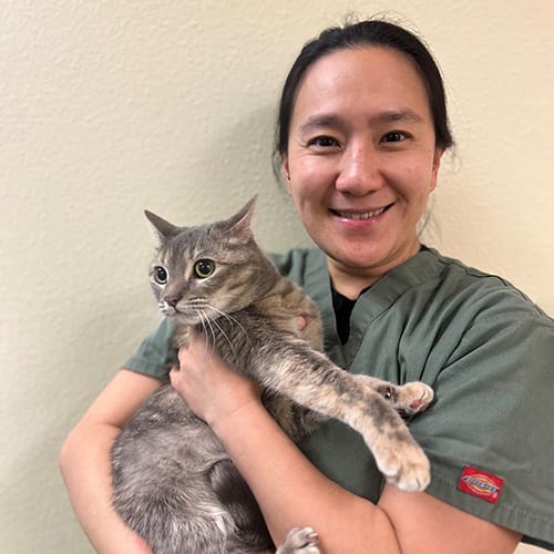 Meet Dr. Stephanie Wan, Tigard Veterinarian